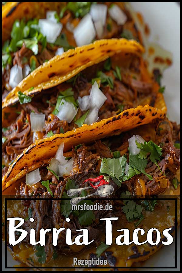 Birria Tacos: Ein kulinarisches Abenteuer für Zuhause - mrsfoodie.de